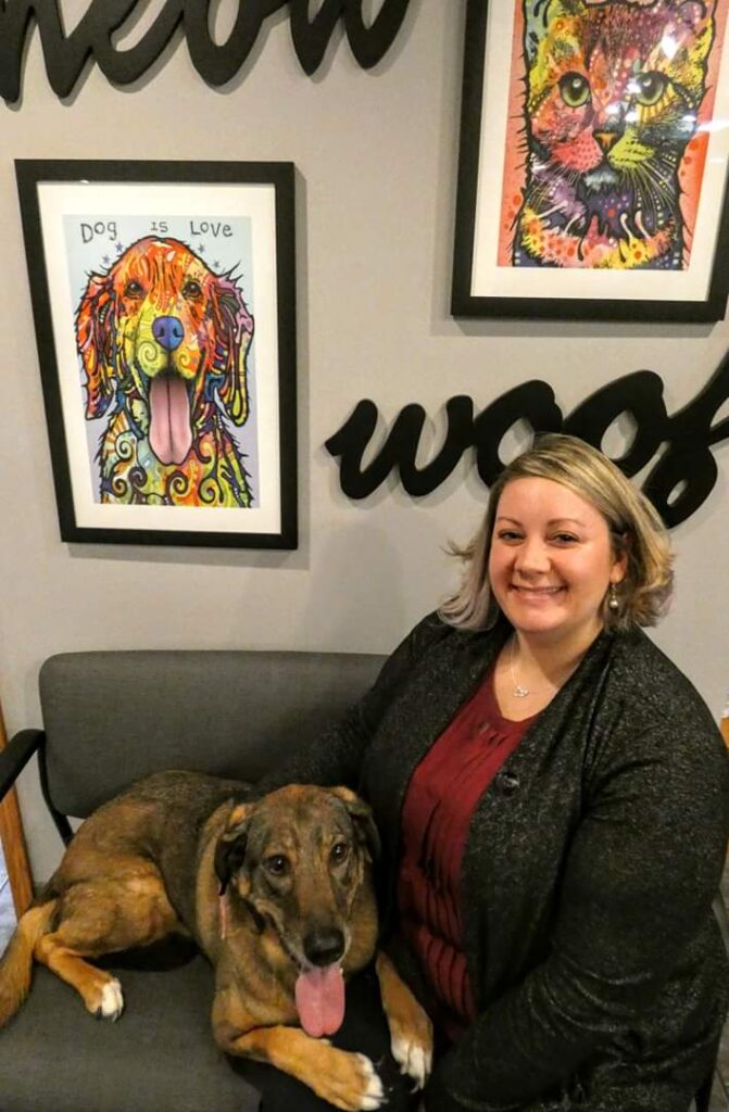 Muskegon Veterinarian: Trusted Care for Your Pets | Lakeshore Animal