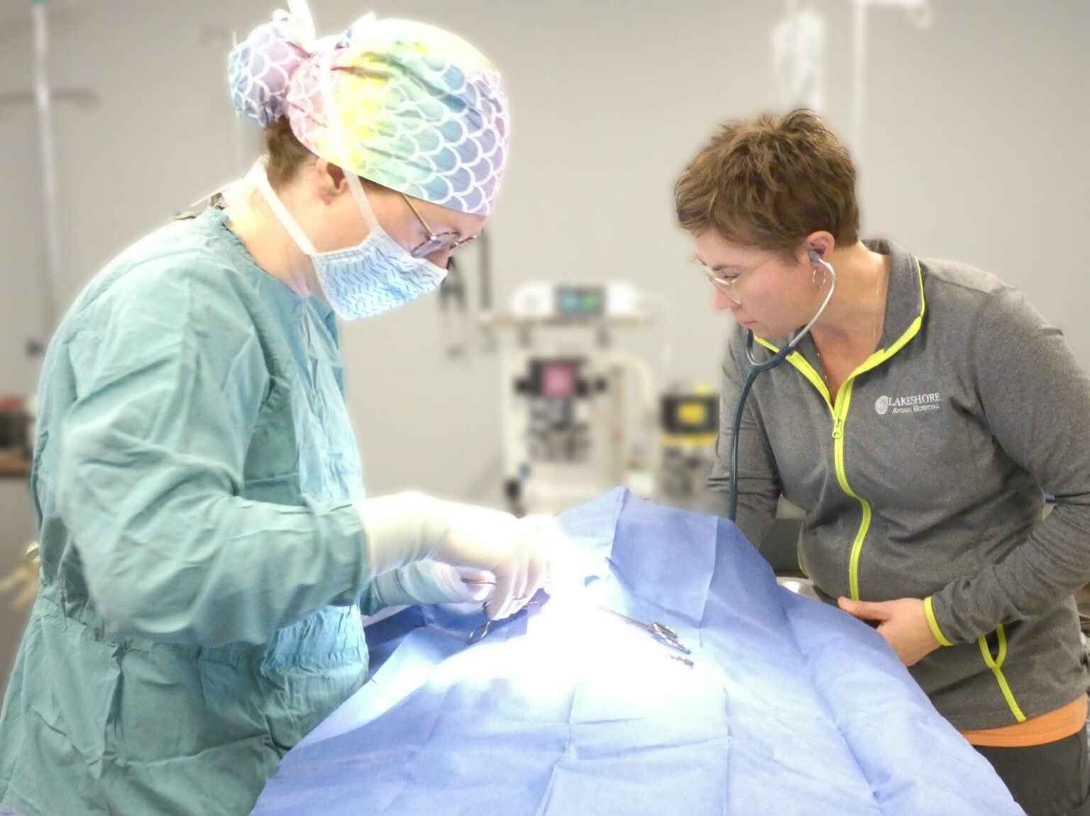 Choose Best Pet & Animal Surgeries | LakeShore Animal